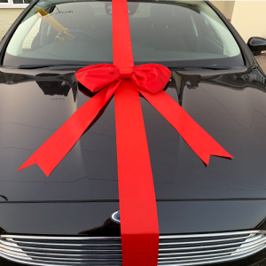 Buy Big Car Bows, Car Bonnet Bows - Arrive Ready To Use